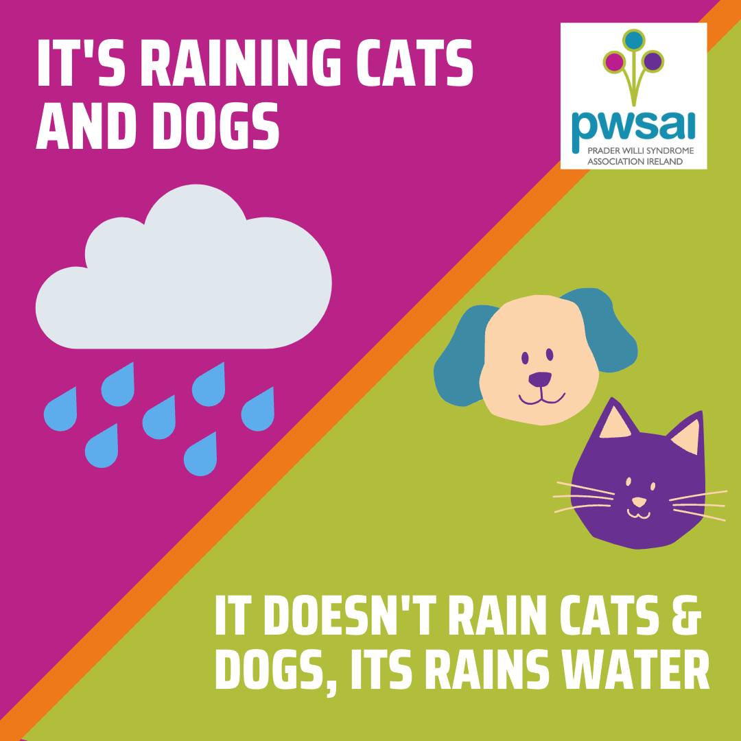 Concrete Language – Prader Willi Syndrome Association Ireland